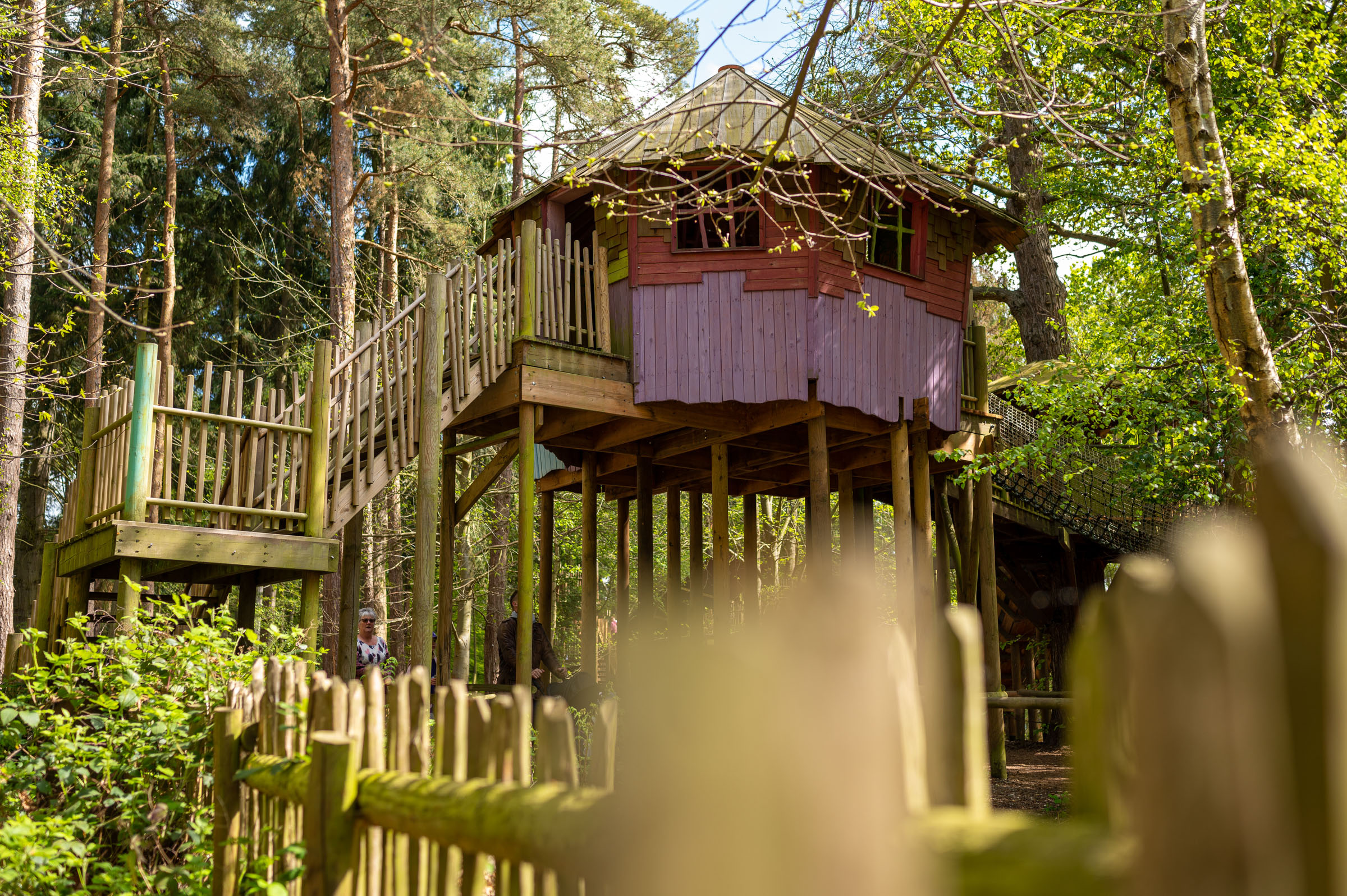 BeWILDerville | BeWILDerwood