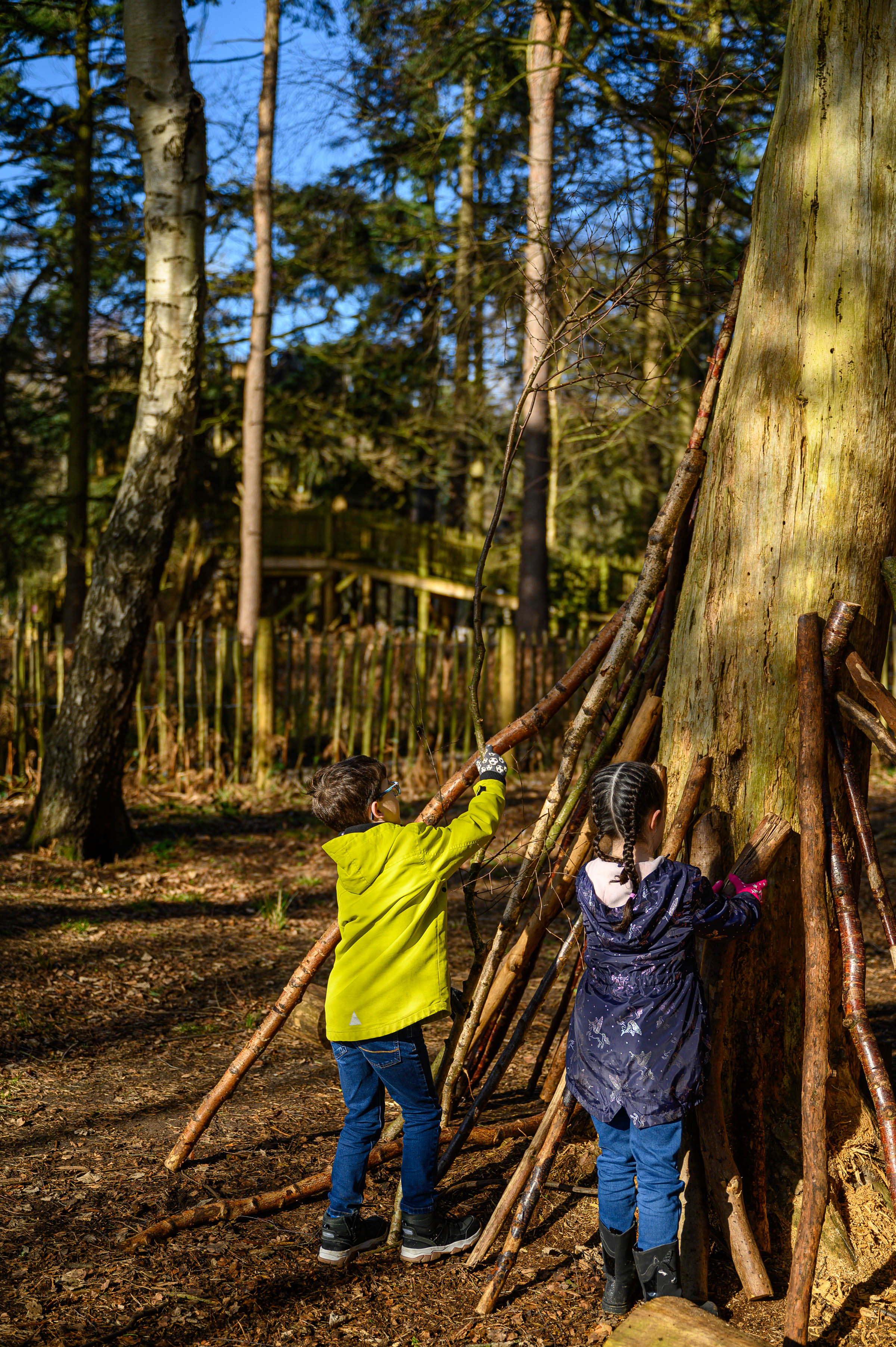 Den Building | BeWILDerwood