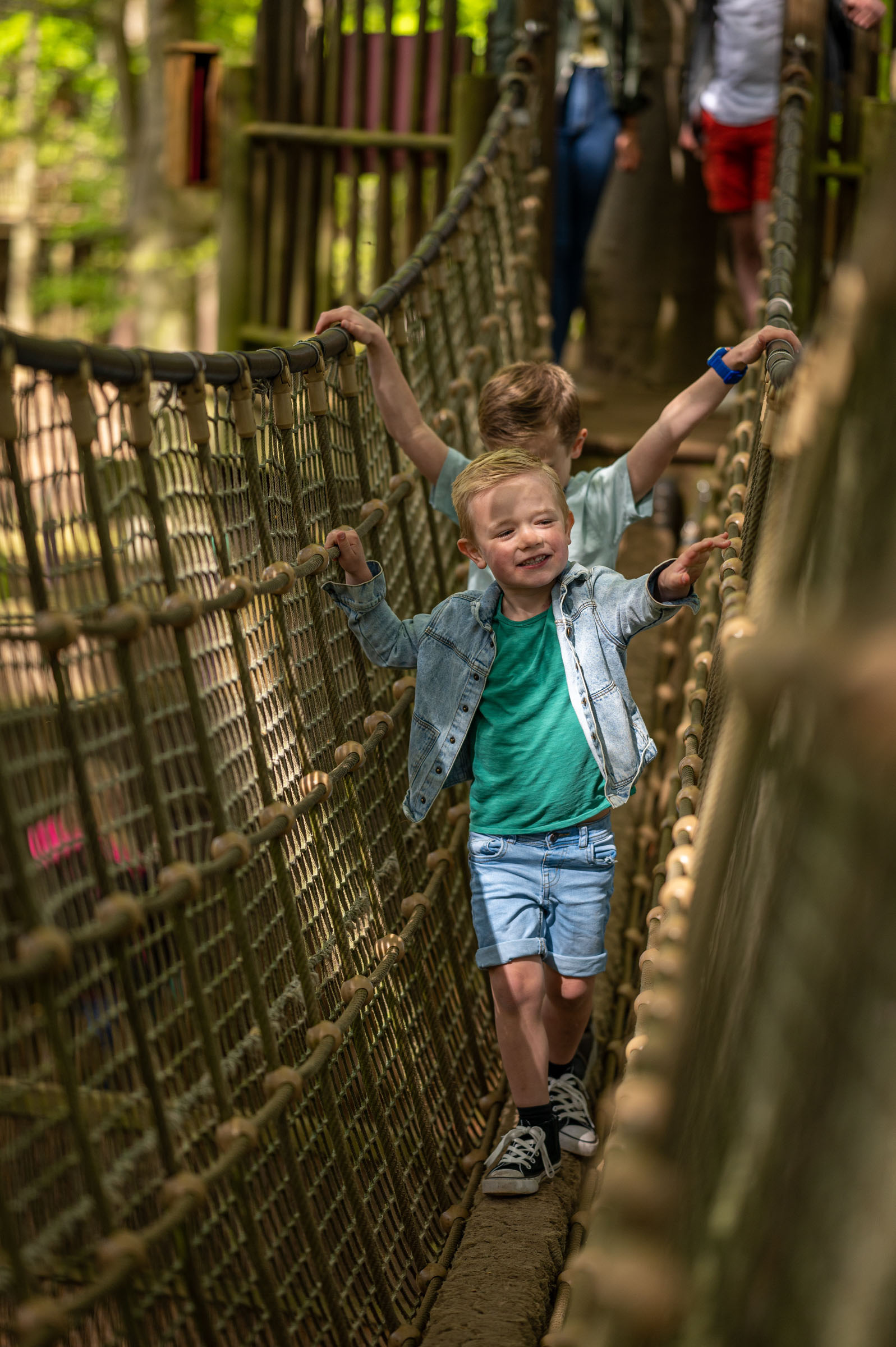 The Muddled Maze | BeWILDerwood